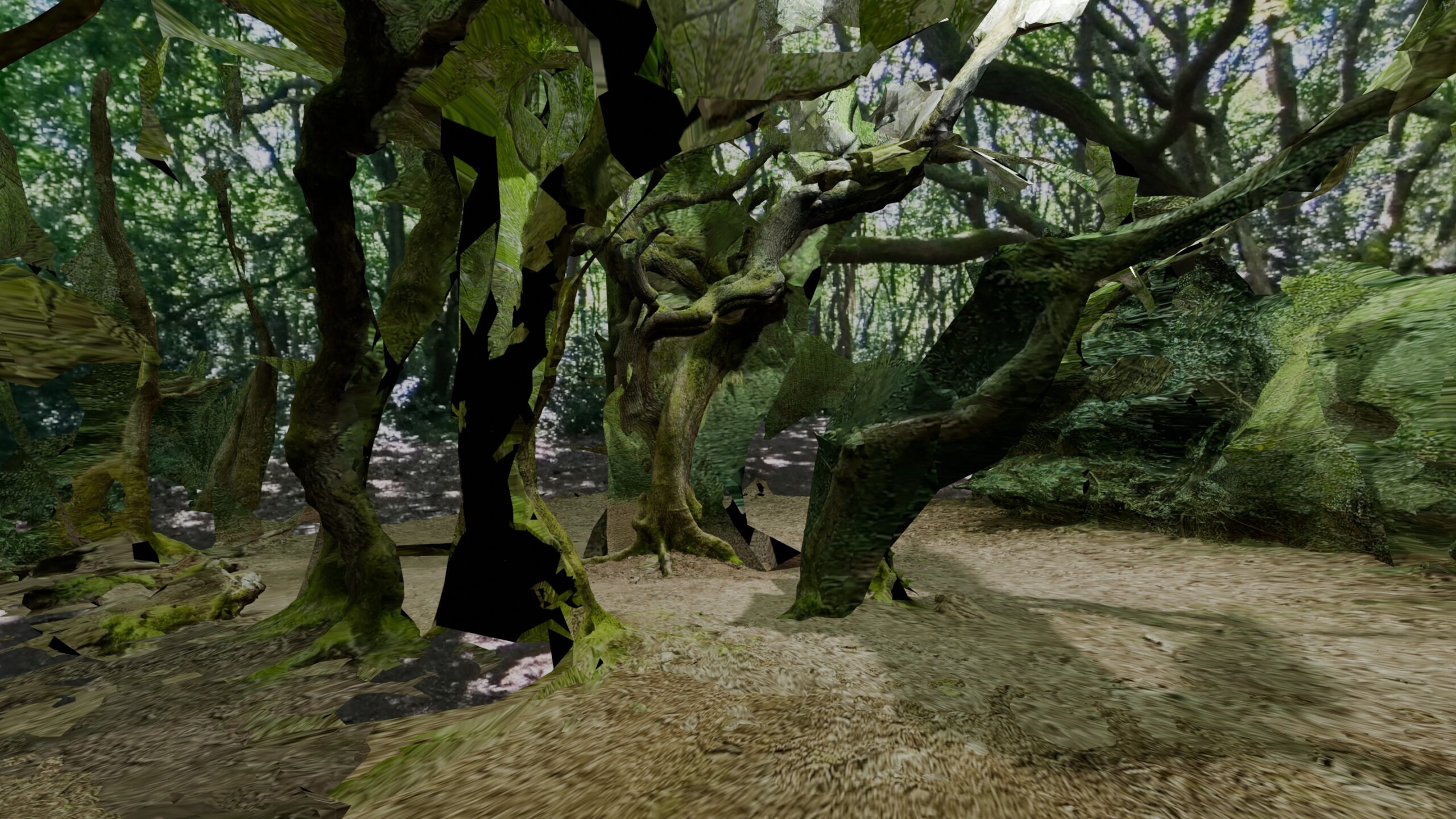 Cliff Crawford - Visual Artist - Tales of Dancing Trees