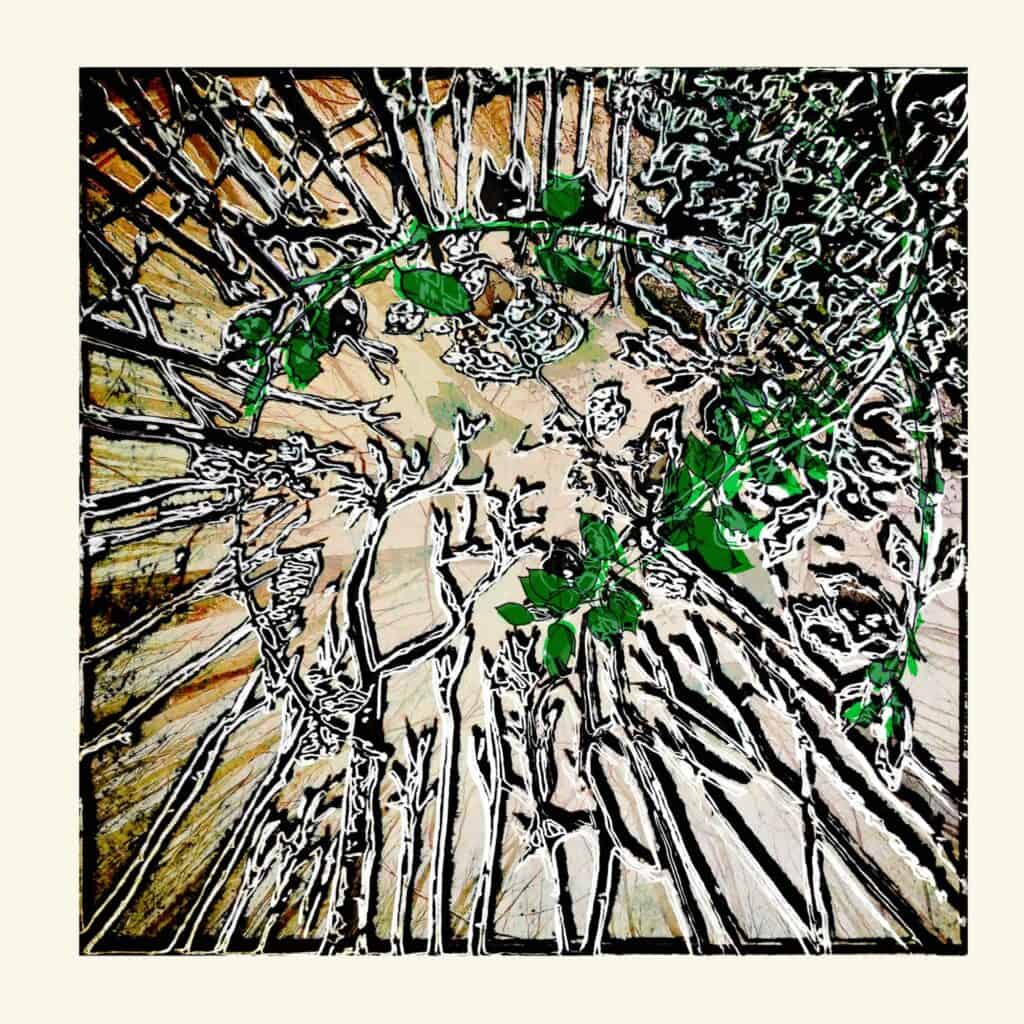 Cliff Crawford - Visual Artist - Looking Up At Trees